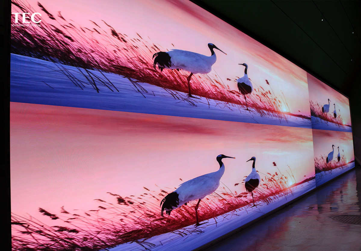 TEC Glass adhesive led screen, transparent soft film led display ...