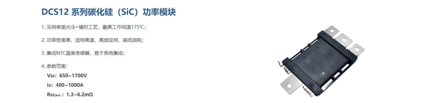 DCS12 系列碳化硅（SiC）功率模块