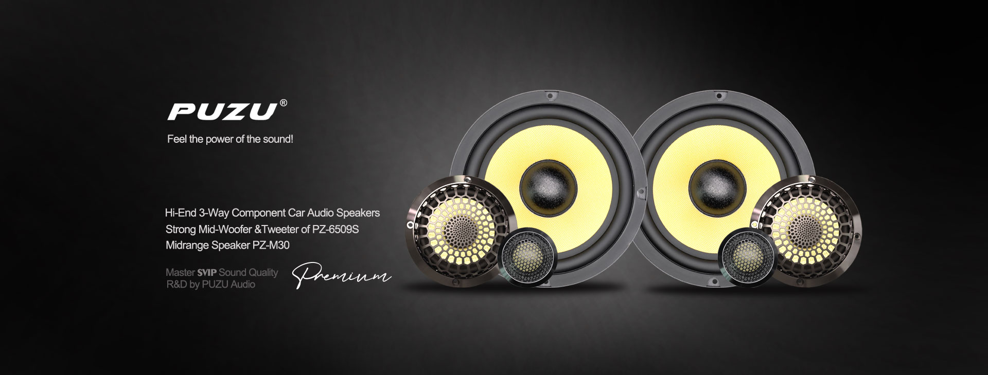 PUZU Car Audio DSP Amplifier Speaker subwoofers