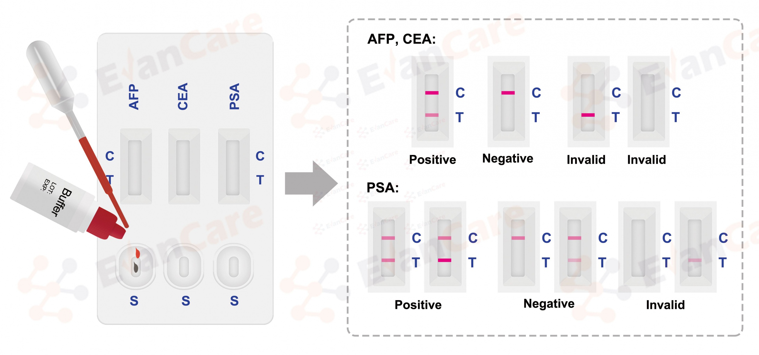 Women's Health_Infectious Disease test_Drug of Abuse-Evancare Medical ...