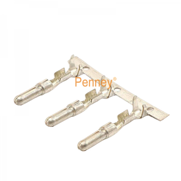 Terminals-Penney Technology Co. Ltd