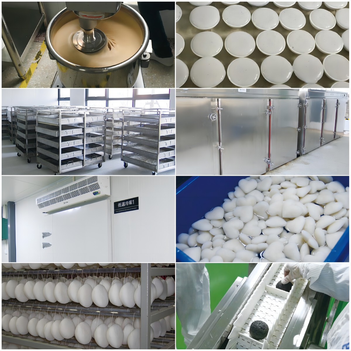 Professional in making konjac series products for over 19 years