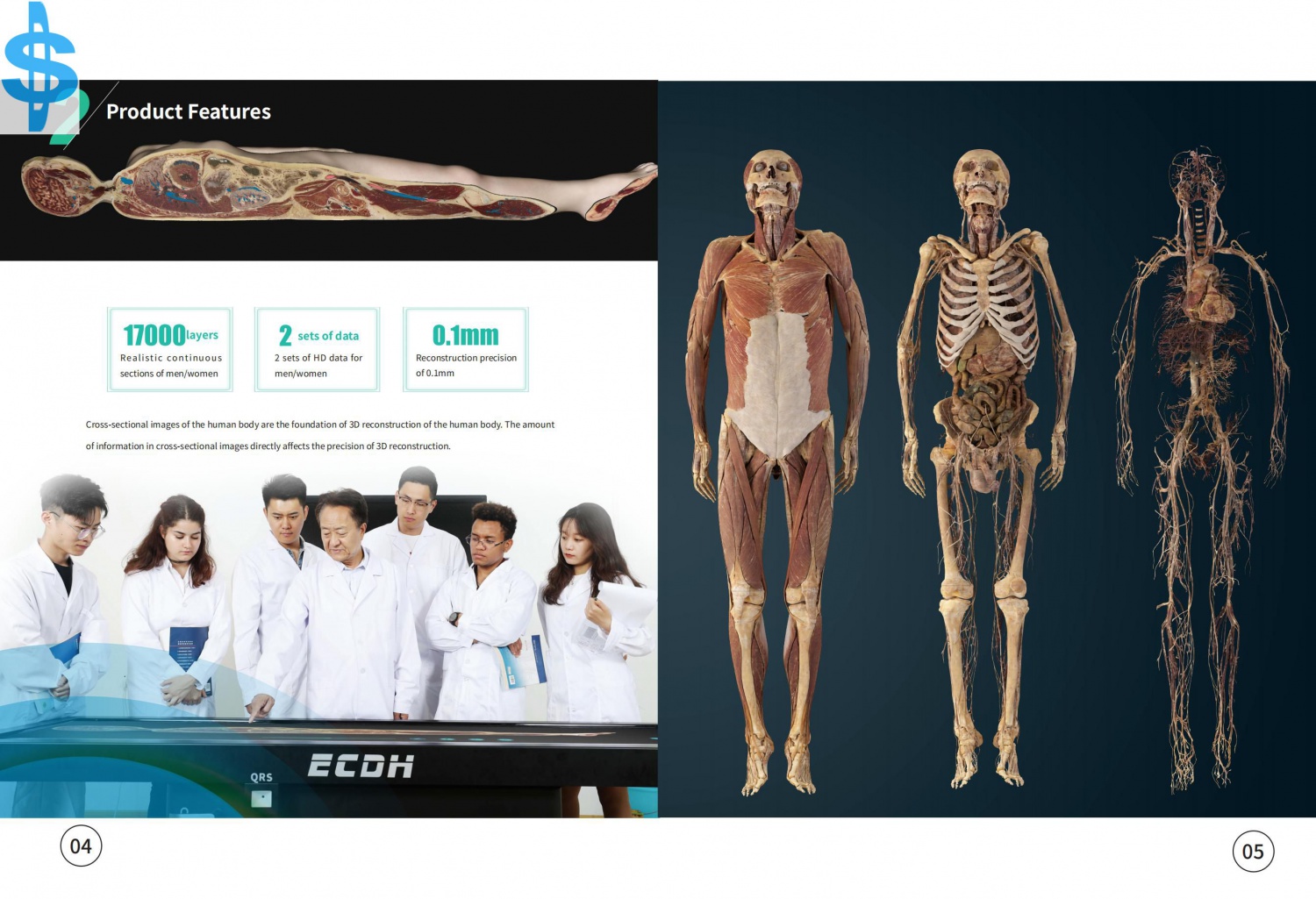 Virtual Anatomy Table System