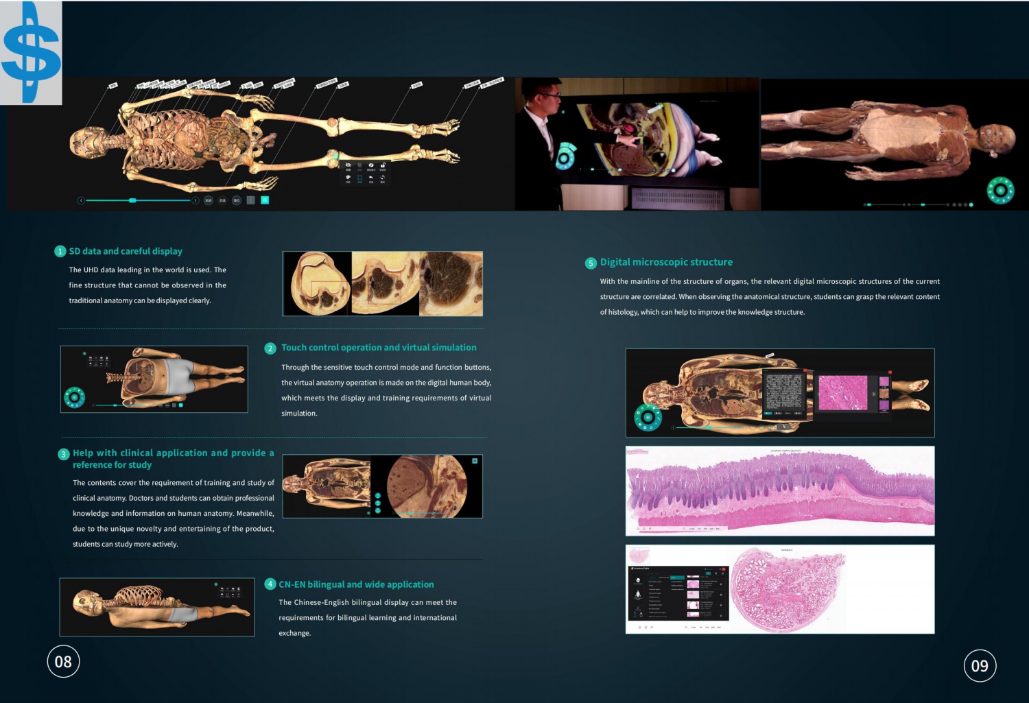 Virtual Anatomy Table System