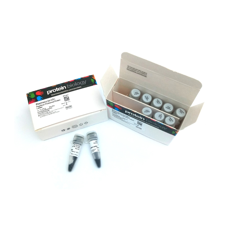 26619|PageRuler™ Prestained Protein Ladder, 10 to 250 kDa-上海青牧生物科技有限公司