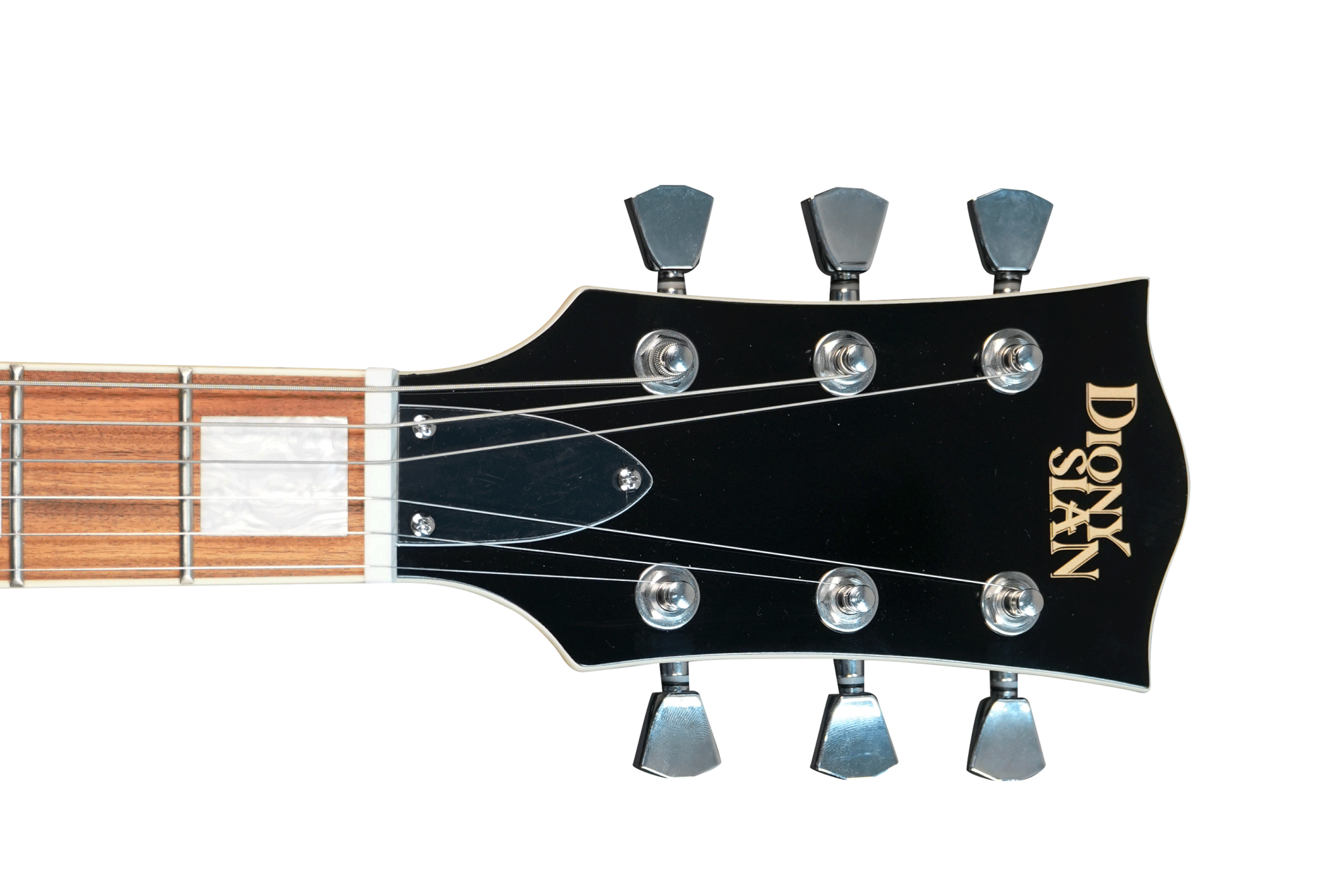 W313-Dionysian Guitars