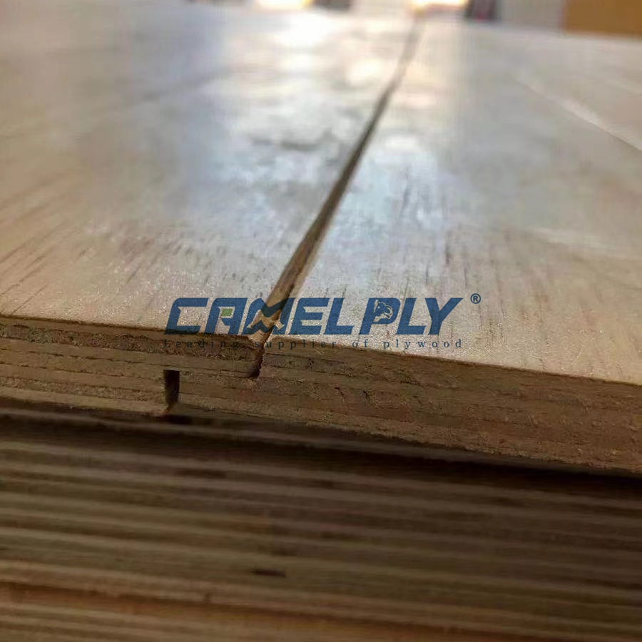 GROOVE PLY-CAMELPLY