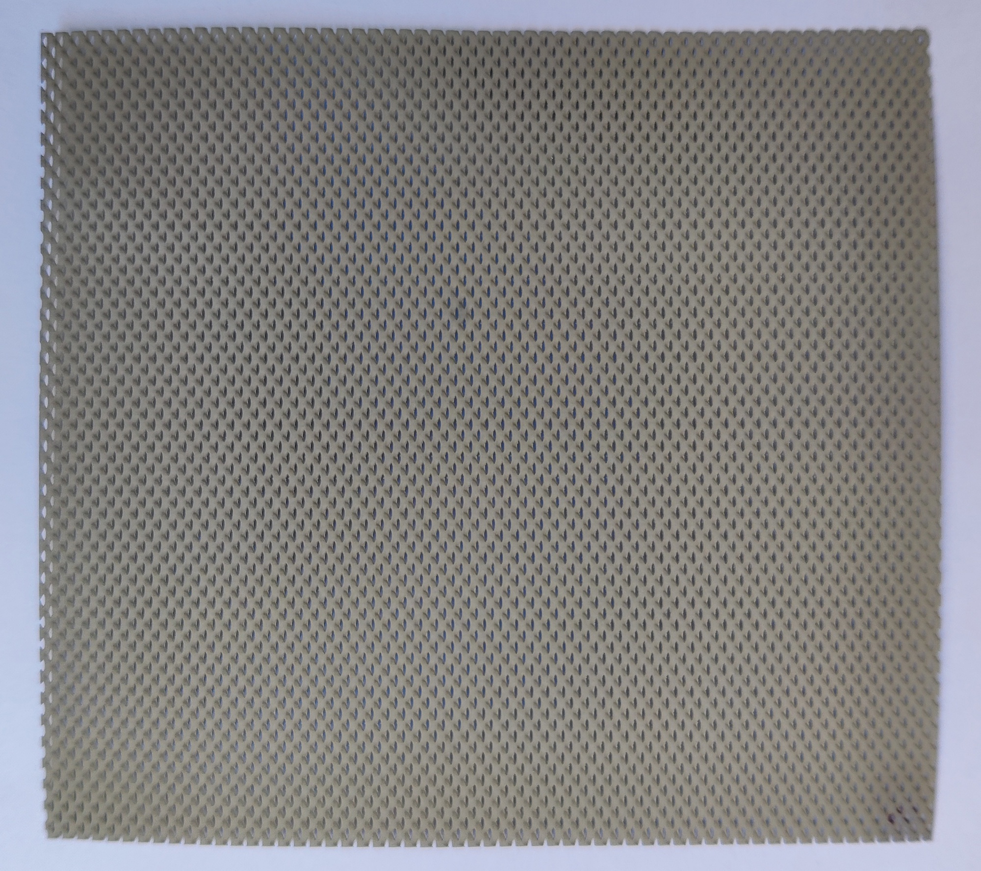 Anti-bacterial Ti mesh