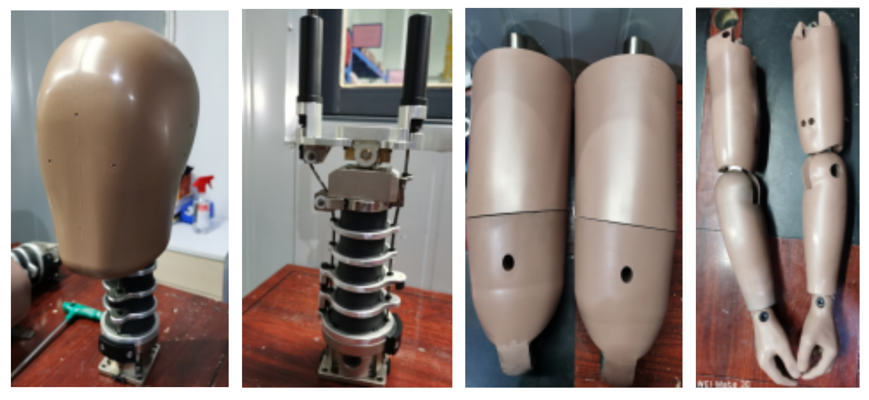 赛孚新品预告｜碰撞测试假人中的“高富帅”—THOR-50M假人