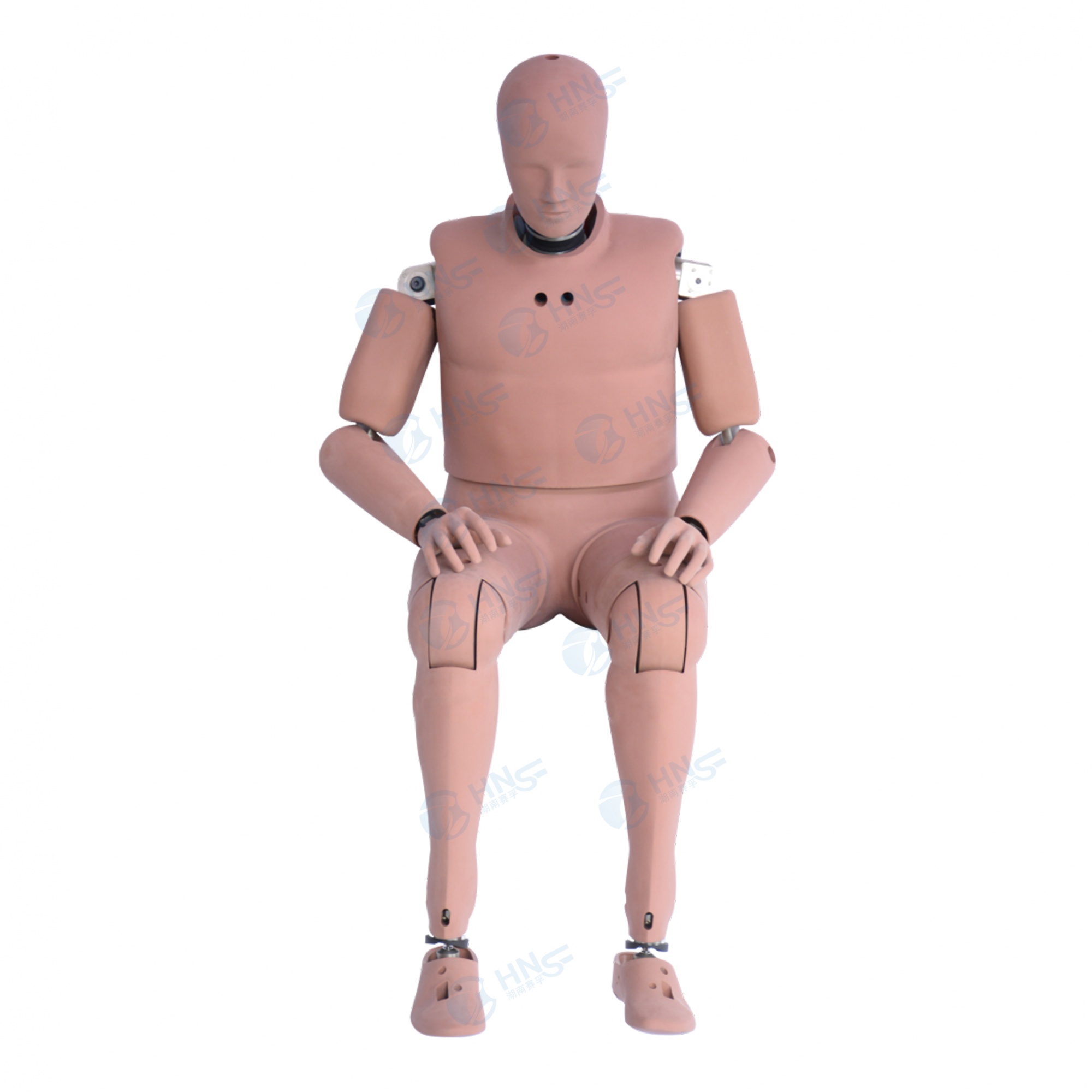 湖南赛孚-Hybrid Ⅲ 95th Male Dummy