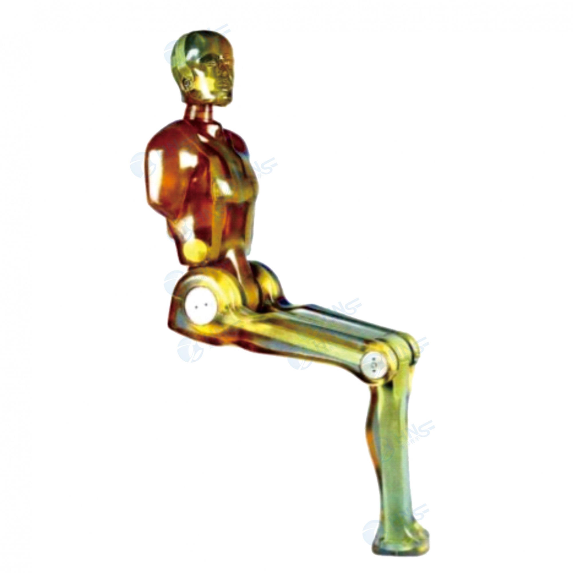 湖南赛孚-Seat Belt Dummy-ECE-R16 Seat Belt Dummy