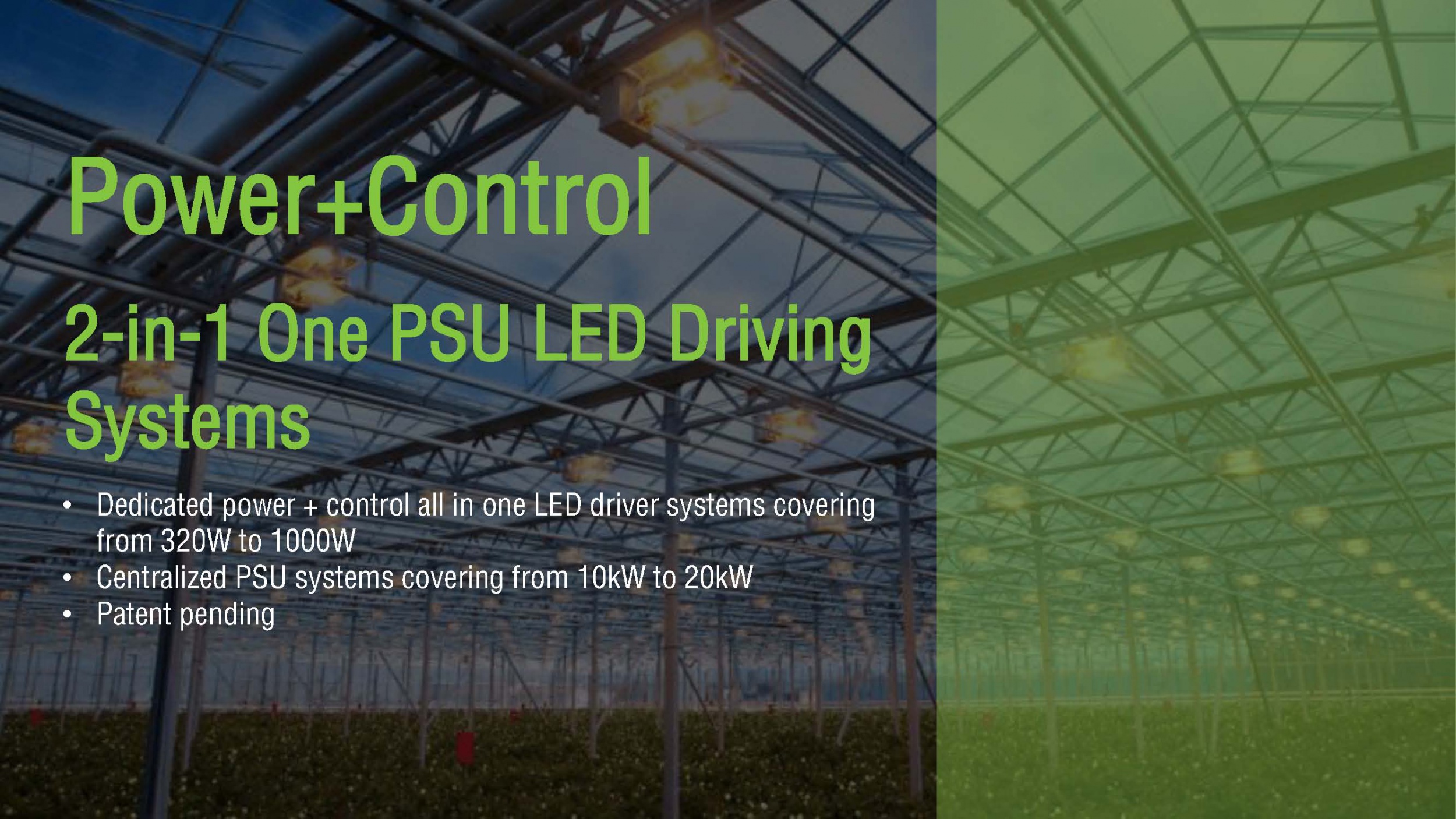 Grow Light Power Supply, Hydro Tool-Belight