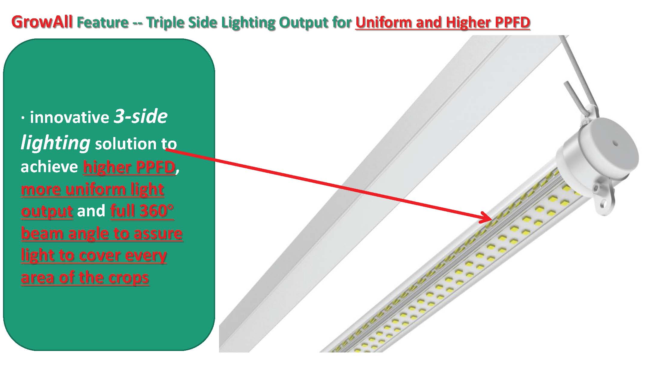 Inter Canopy Grow Light, Vertical Farming-Belight