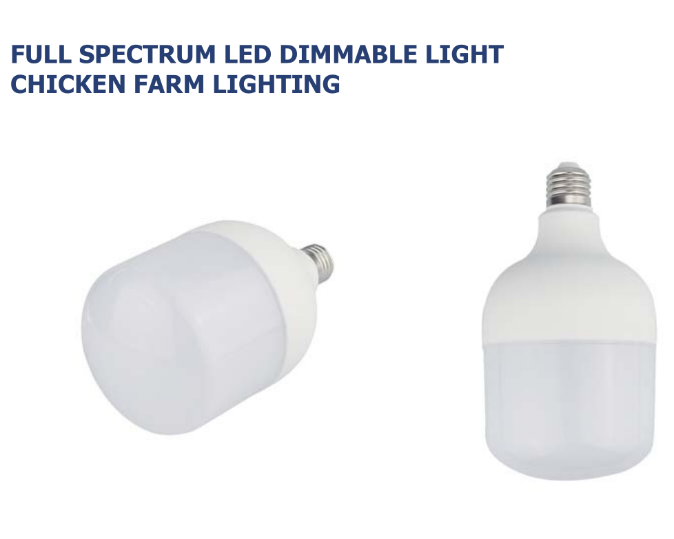 Chicken Farm Lighting Solution-Shenzhen Belight Techonology Co., Ltd.
