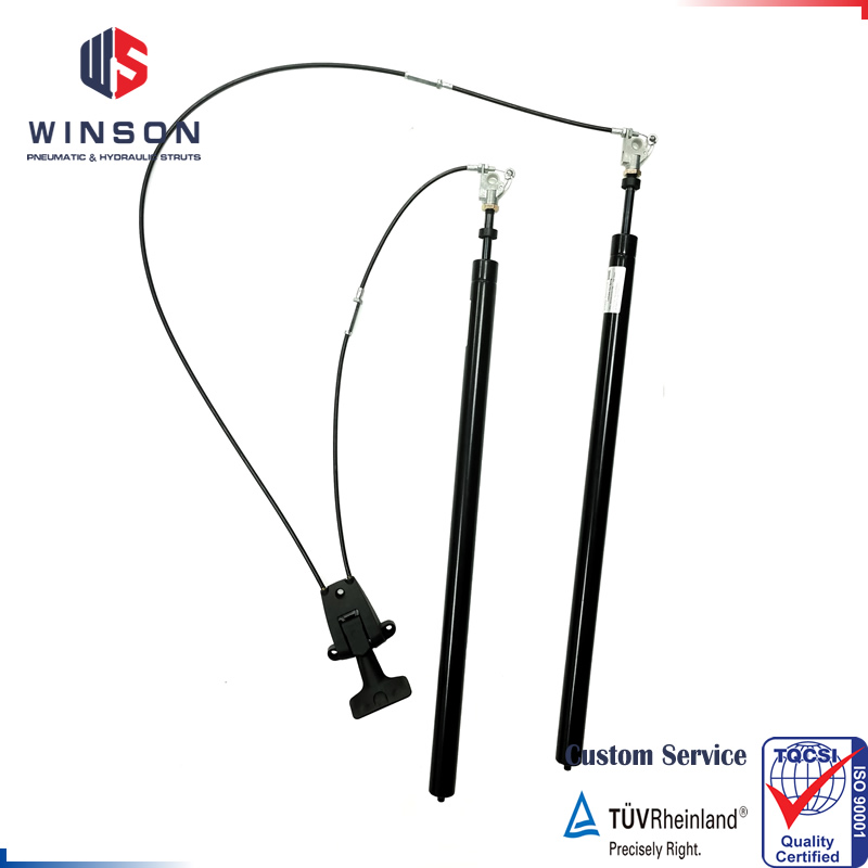 Double Tube Rigid Locking Lifting Table Gas Spring Struts - Winson