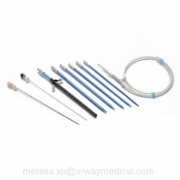 Nephrolith Percutaneous puncture dilation and expansion catheter ...