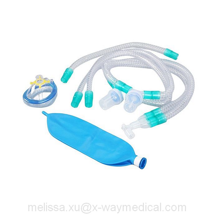 Single-use respiration loop, anesthetic oxygen gas delivery bag kit for ...