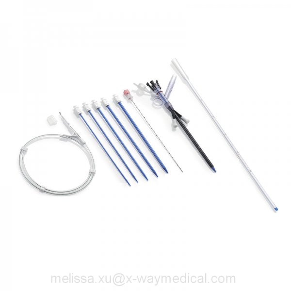Medical 8F 10F - 22F Tract Gradual dilation Percutaneous Nephrostomy ...