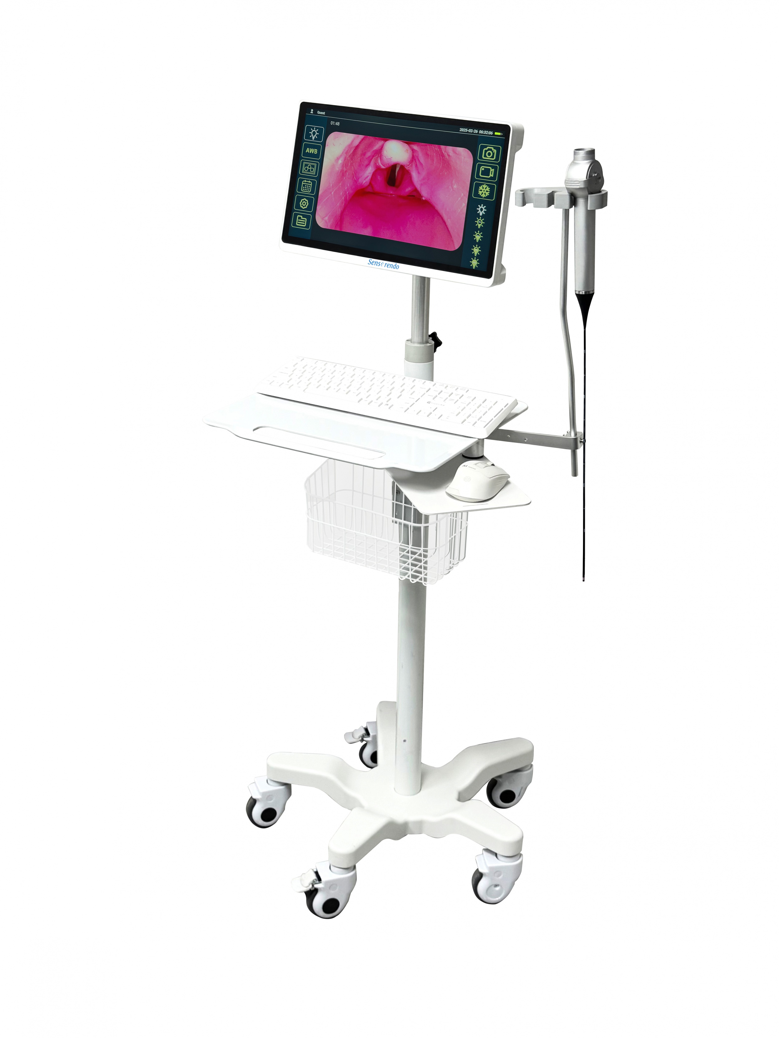 Rhinolaryngoscope – High-Precision Flexible Endoscope for ENT Examination