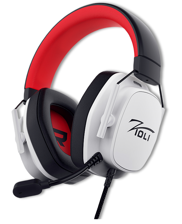 东莞市沣瑞电子科技有限公司｜ ZIDLI磁动力｜沣瑞电子