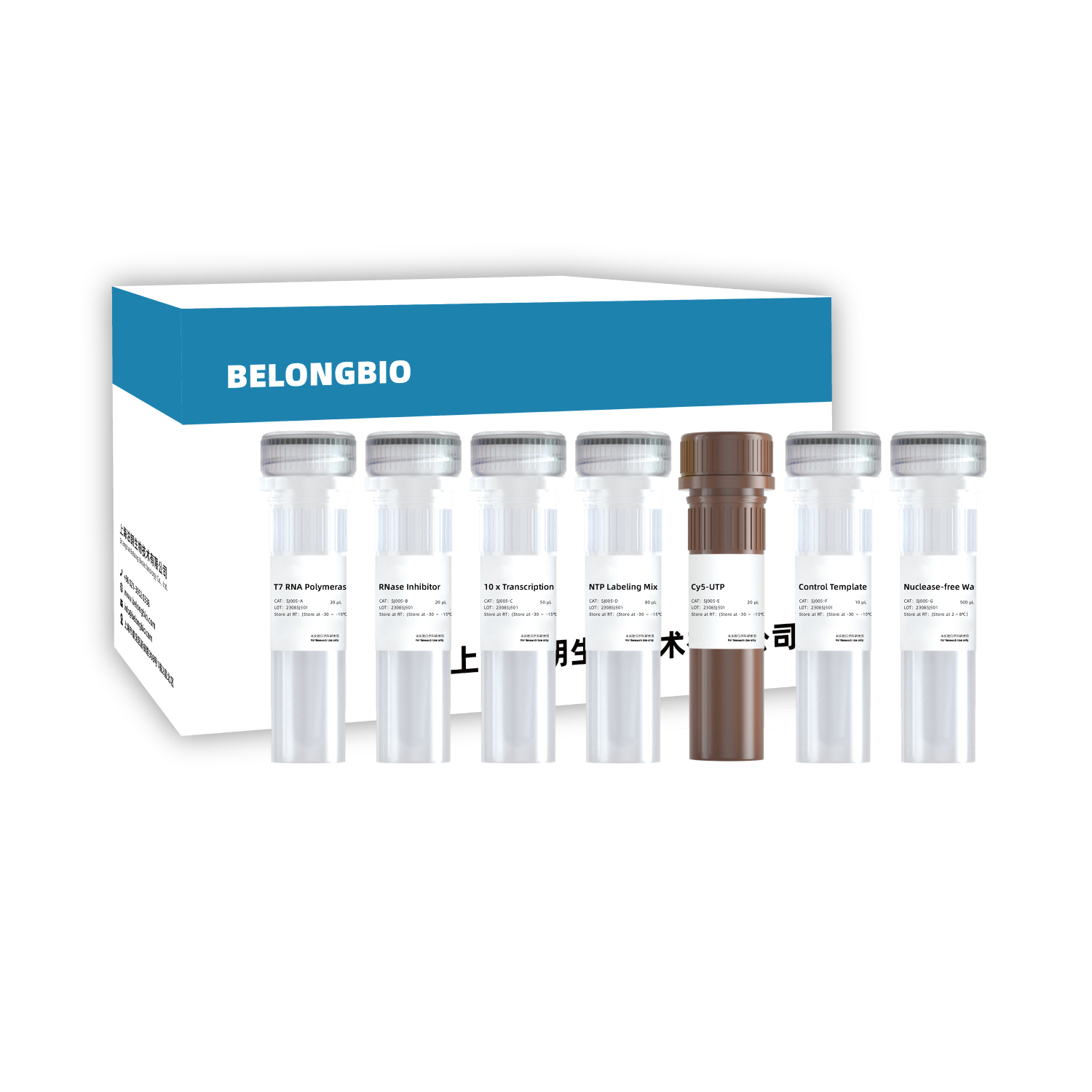 High Yield T7 Cy5 RNA Transcription Kit-上海泊朗生物技术有限公司