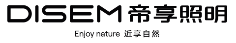 灯带系列-DISEN帝享照明