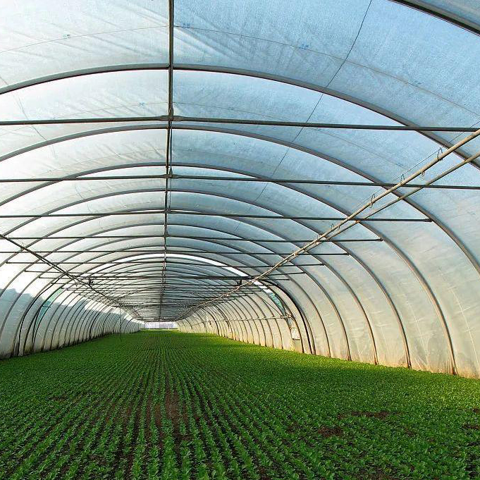 科莱恩 辅助抗氧剂 Hostanox P-EPQ 耐黄变 亚磷酸酯抗氧剂