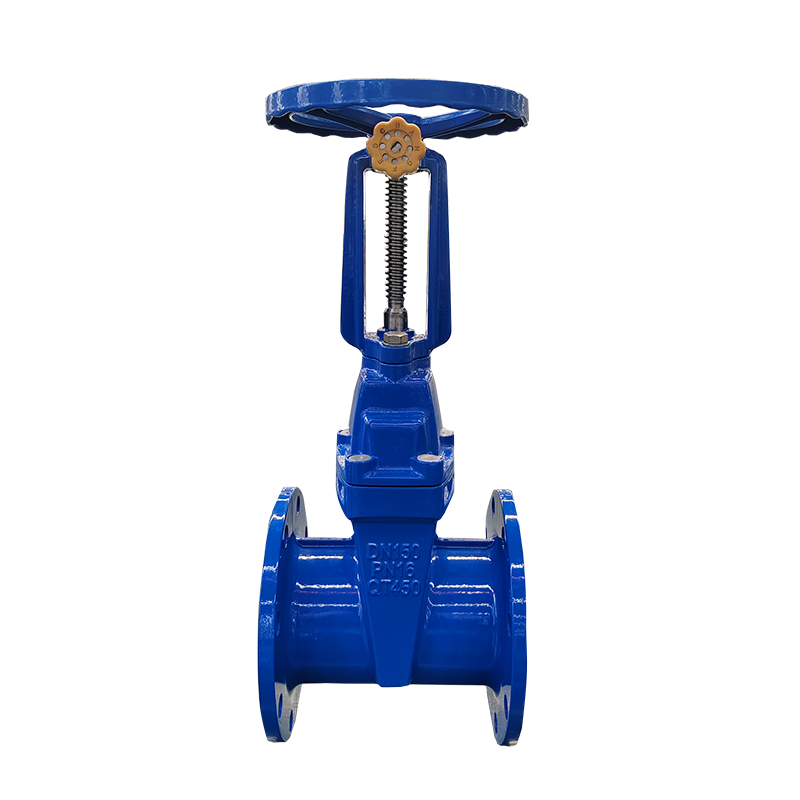 Gate valve-Elastic gate valve series-Tianjin RETAIX Valve Co, Ltd.