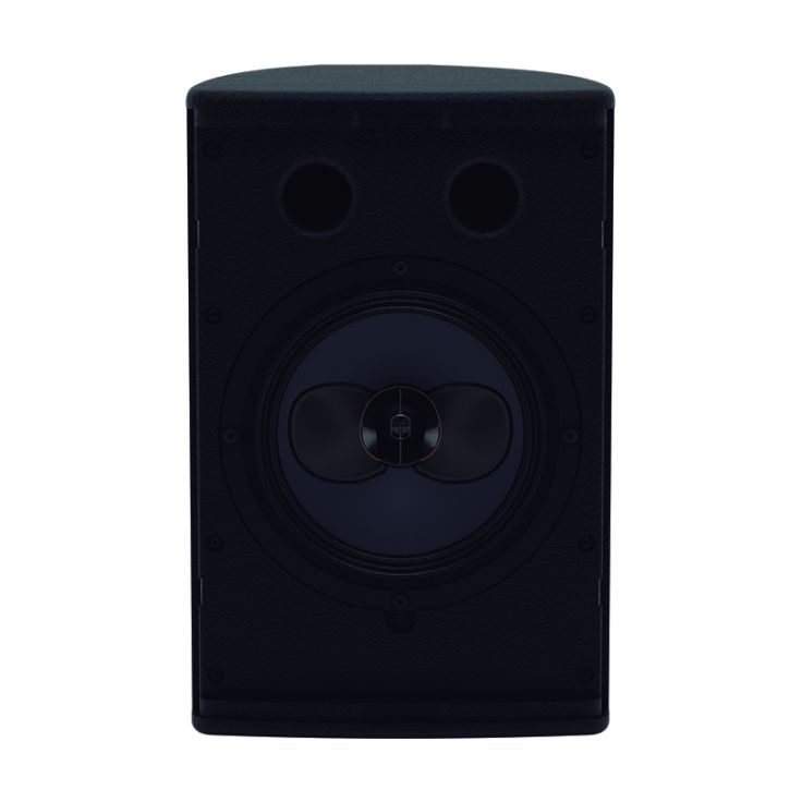 玛田 Martin audio CDD6同轴差分辐射被动分频扬声器