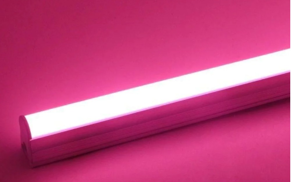 Fresh Meat Lighting Solutions - Completed Guide | GAOPIN