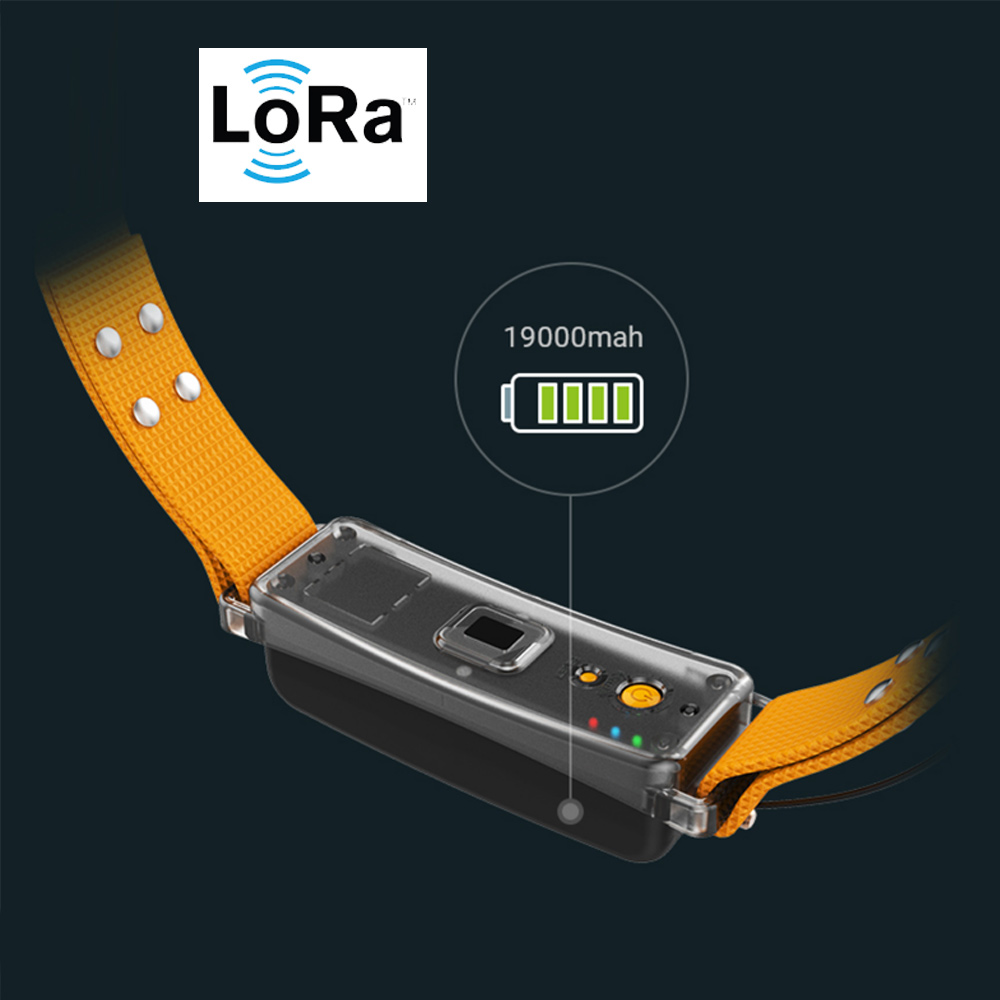Kt Pl23 Lora Cattle Gps Tracker Kotonlink Co Ltd