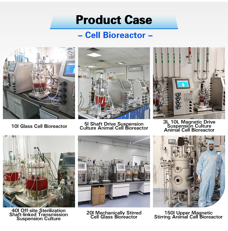 Pilot airlift Bioreactor 100L SS Bioreactor Airlift Fermenter