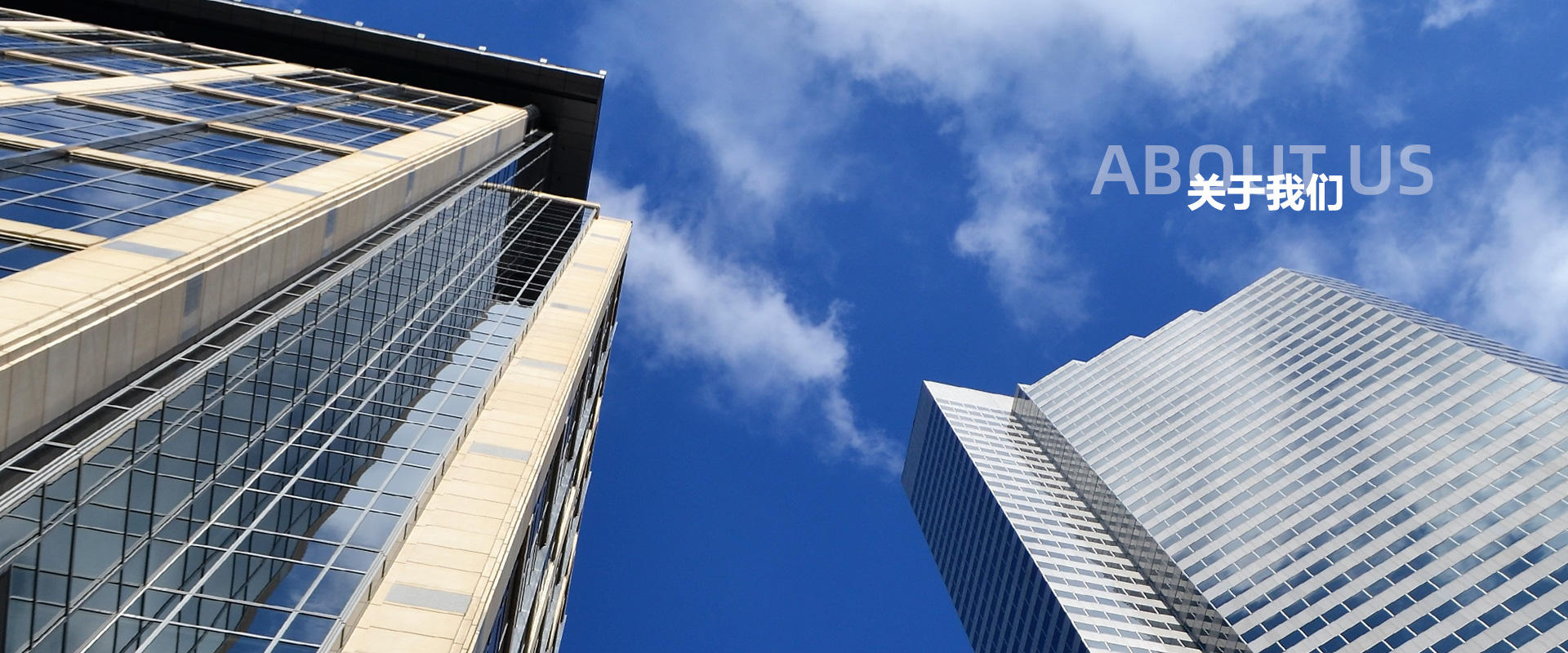 DAIZO NICHIMOLY中国区域总代理商原装正品大量现货供应。