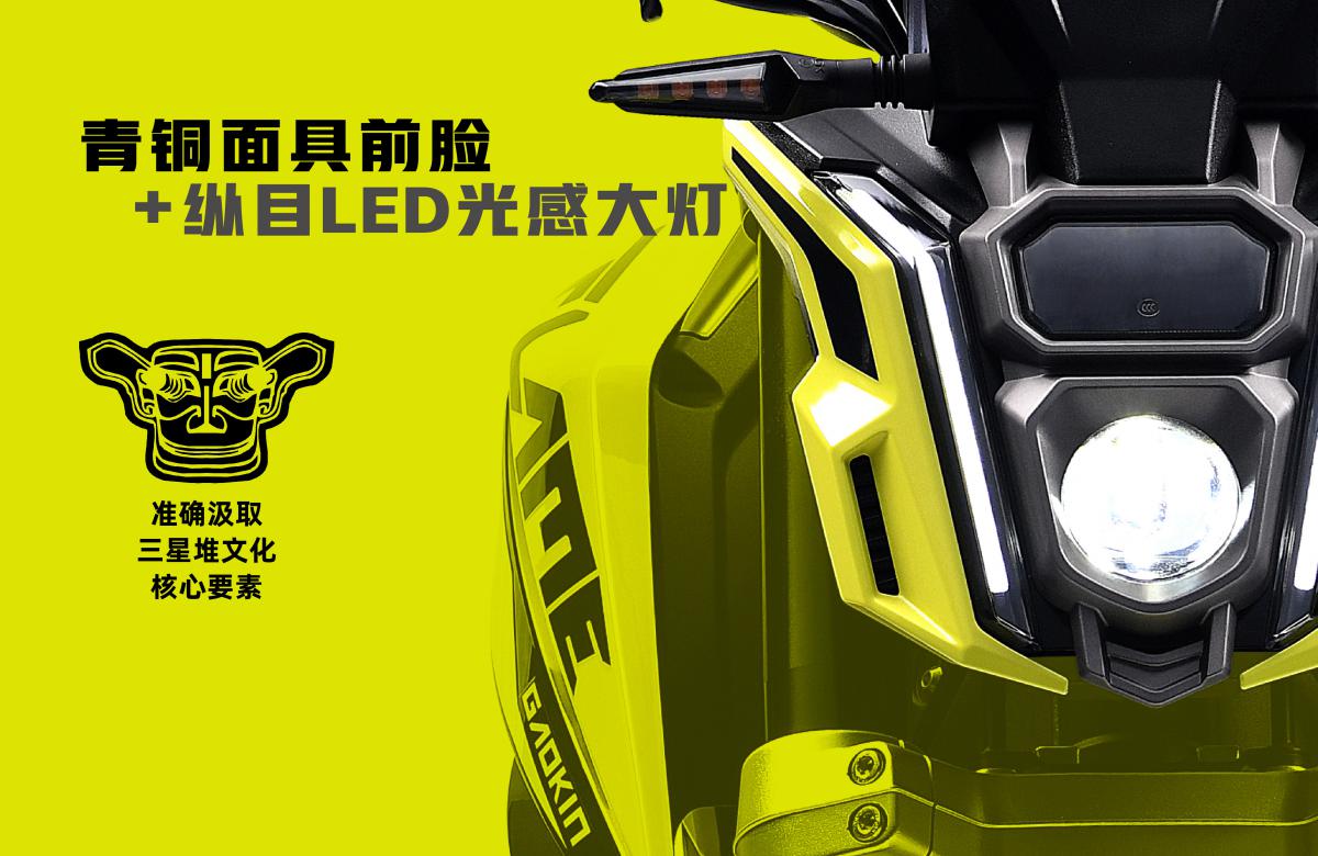 【定金】高金Flame500运动街车