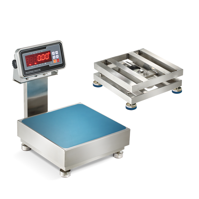TCS-CW300 full stainless steel bench scale