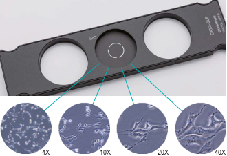 CKX53荧光倒置显微镜-细胞成像与分析的高效解决方案-广州莱特光电技术公司