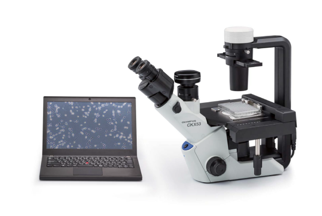 CKX53荧光倒置显微镜-细胞成像与分析的高效解决方案-广州莱特光电技术公司