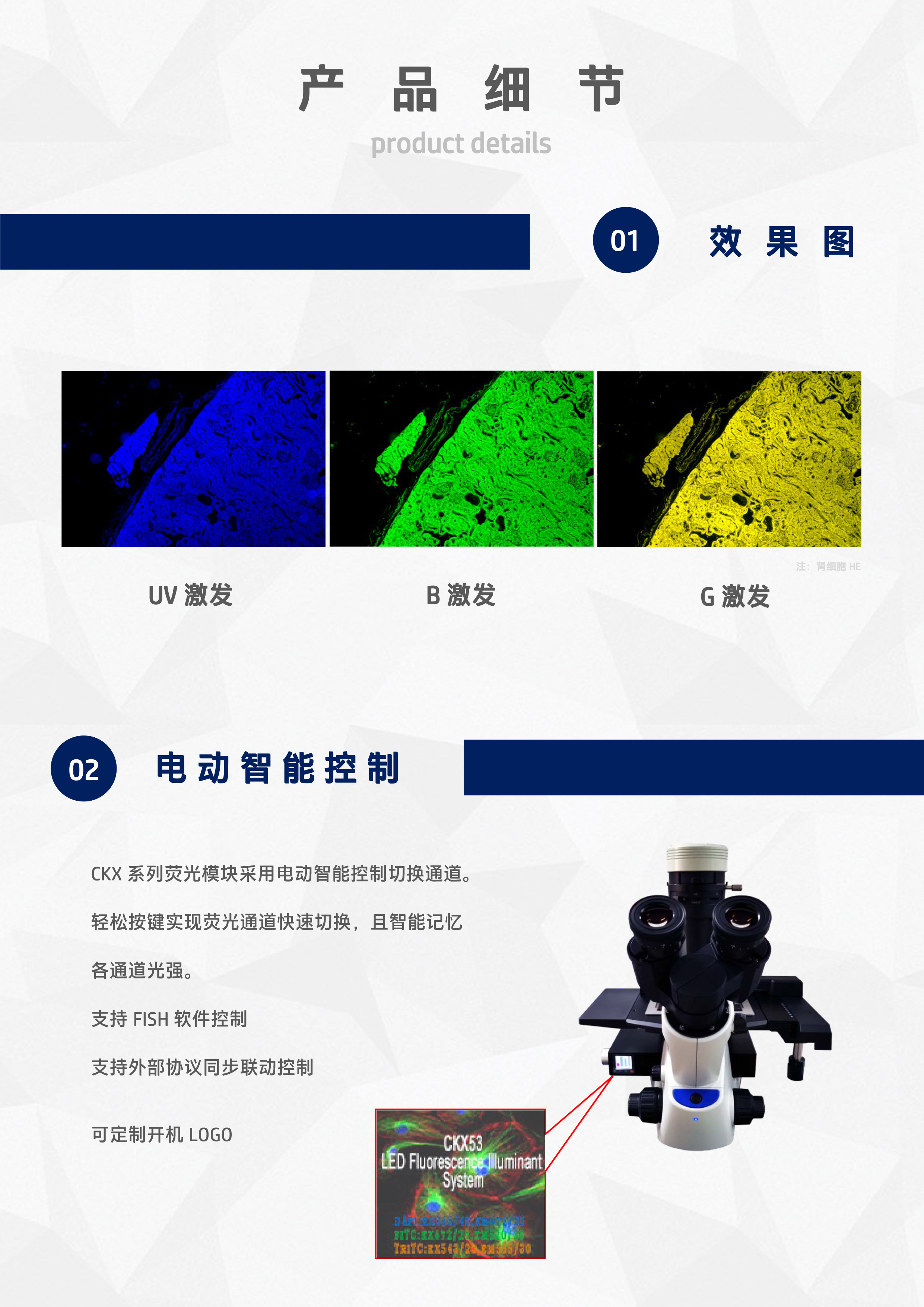 CKX53倒置显微镜配套荧光配件 倒置荧光模块CKX-UVBGY-E
