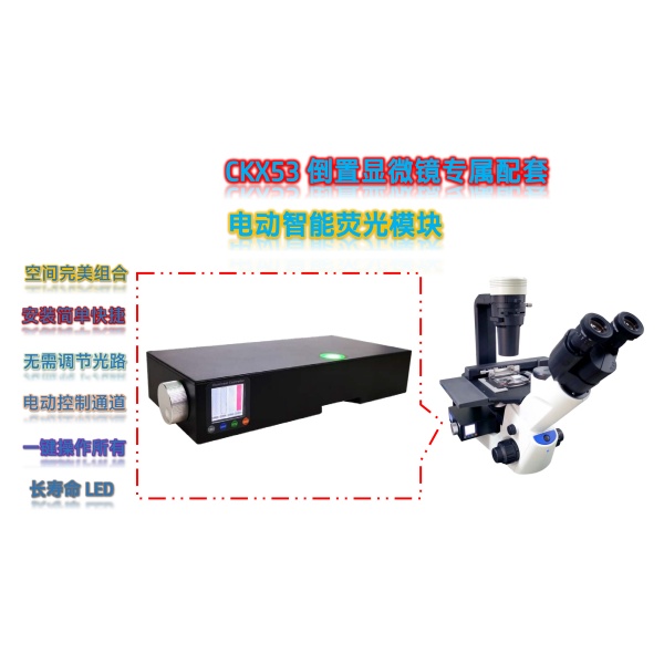 CKX53倒置显微镜用LED荧光附件 四色电动倒置荧光模块CKX-UVBGY-E