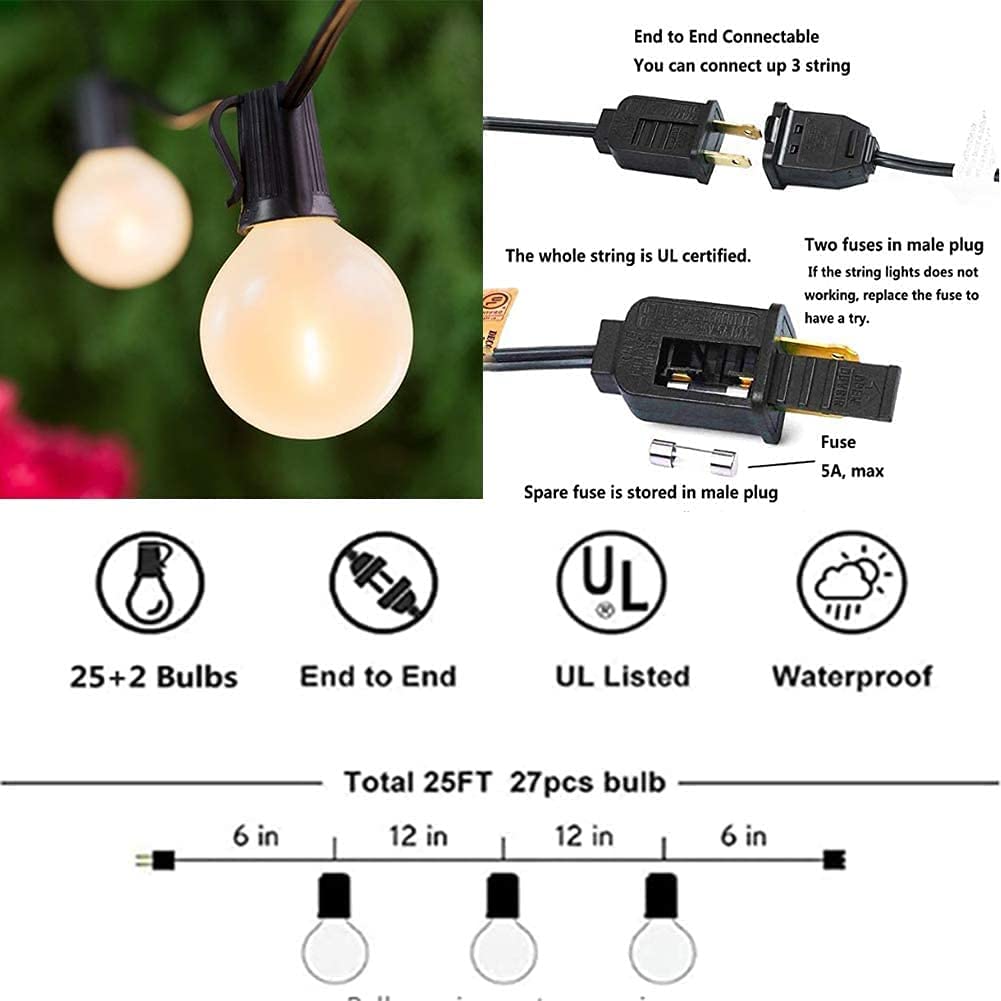 G40 25FT Frosted White String Lights