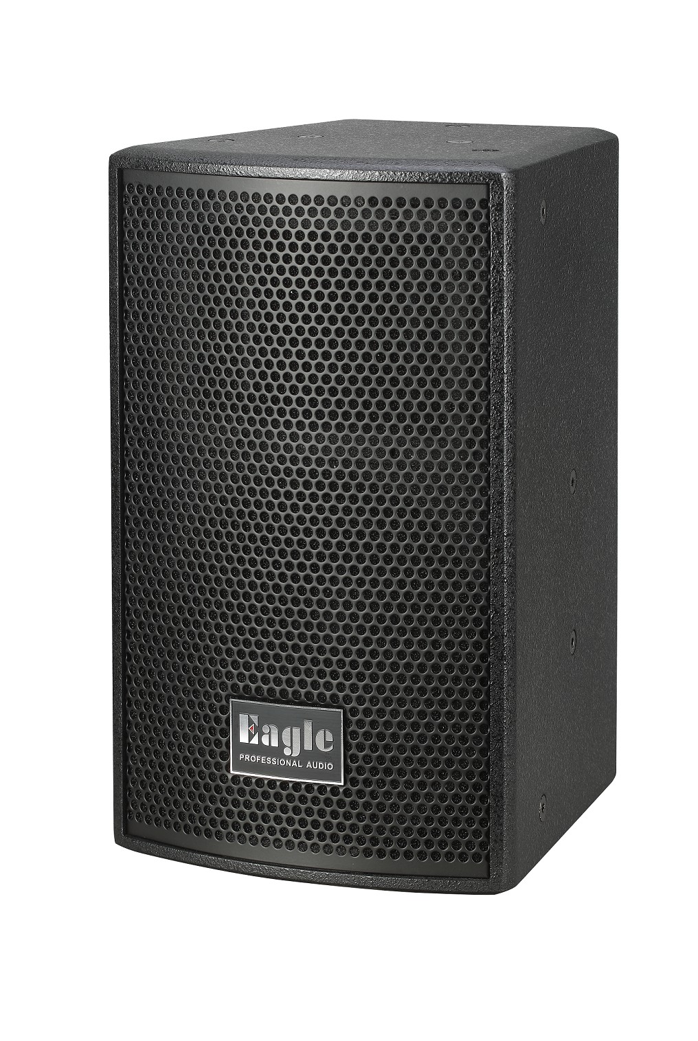 C-08, loudspeaker,10" full-range speaker from Eagle Audio