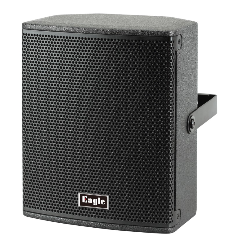 CS-06, conference speaker, installation model from Eagle Audio