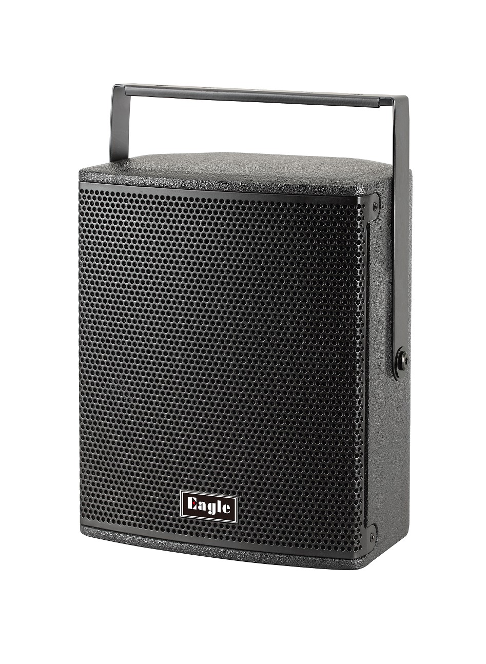 CS-05, conference speaker, walll mounting from Eagle Audio