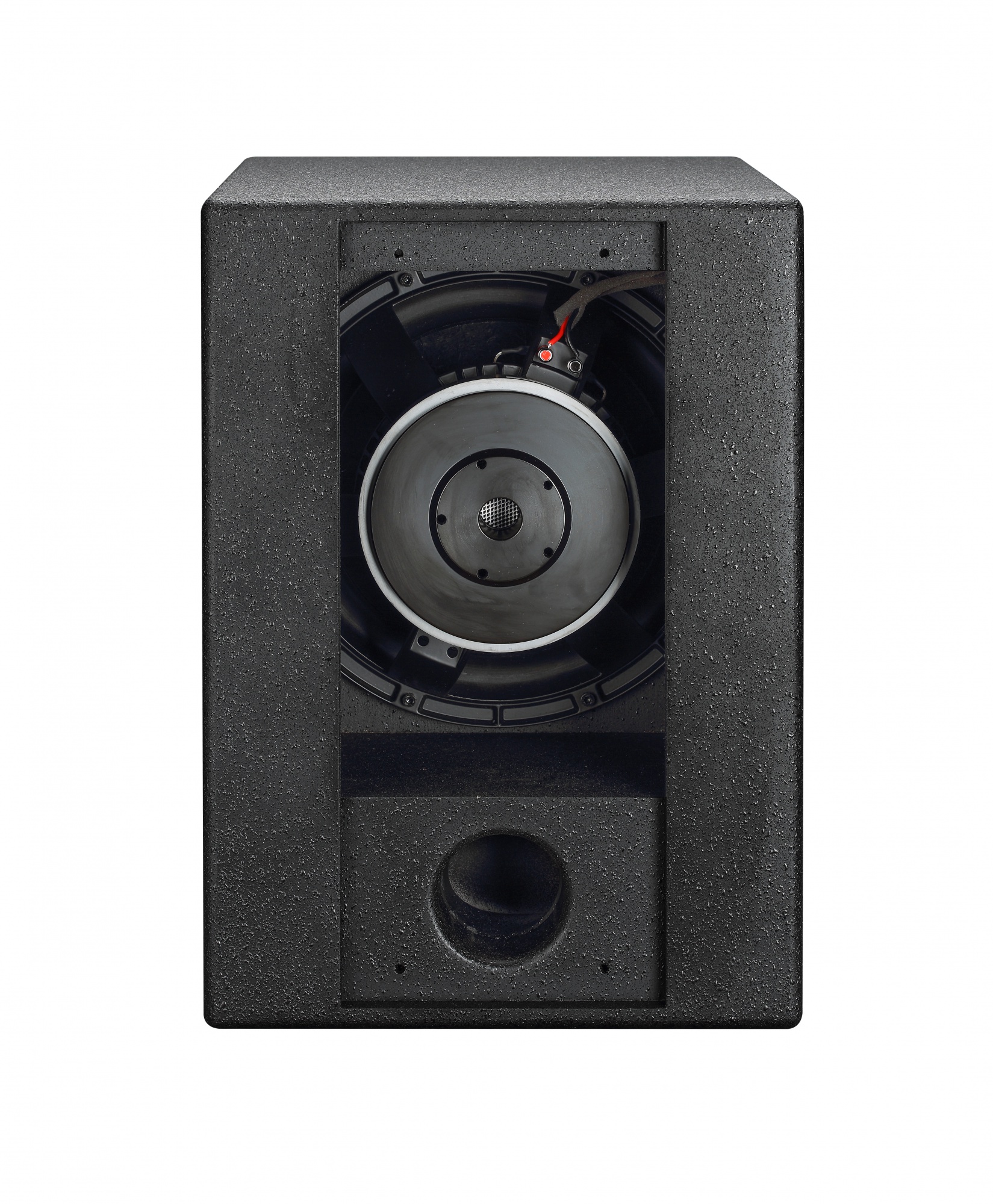 10" subwoofer, loudspeaker from Eagle Audio