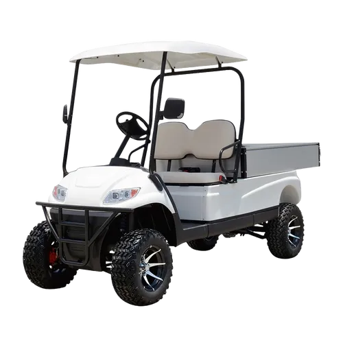 Electric golf cart,electric golf buggy professional manufacturer-Lvtong