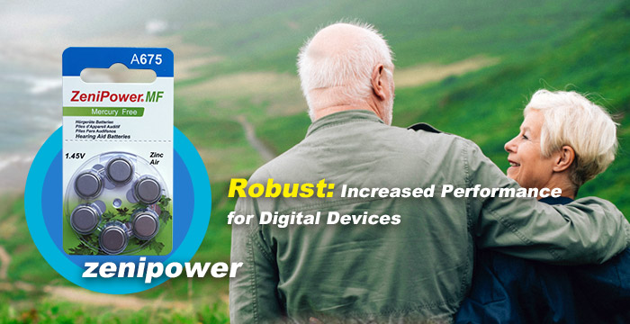 ZeniPower (Zhuhai Zhi Li) Battery Co., Ltd.