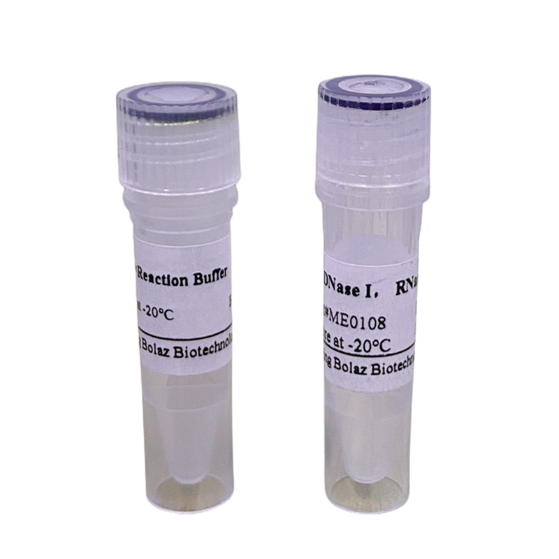 DNase I (RNase-free),博雷兹生物科技有限公司