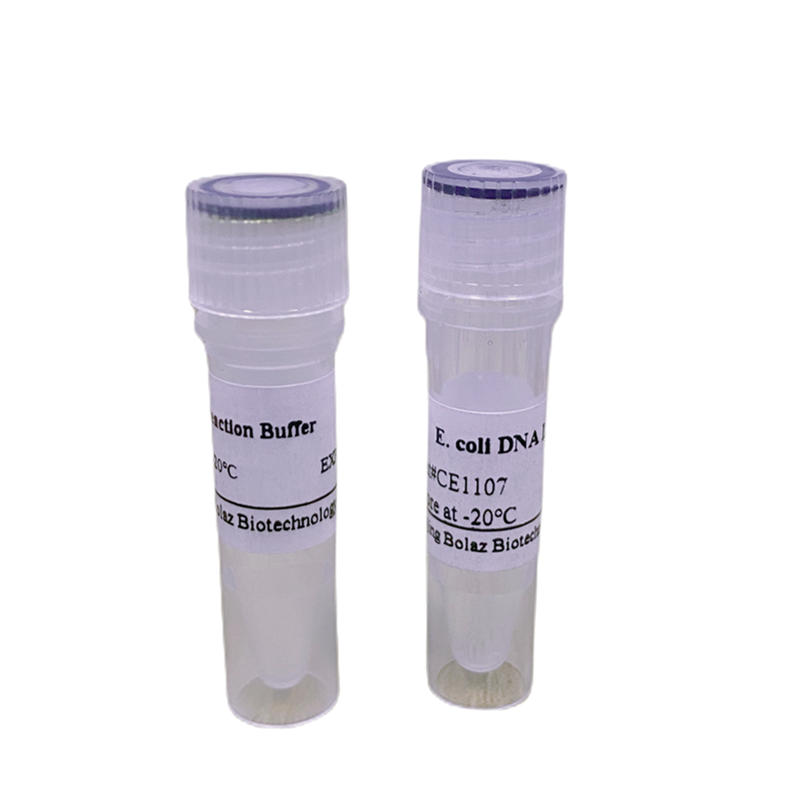 E.coli DNA Ligase,南京博雷兹生物科技有限公司