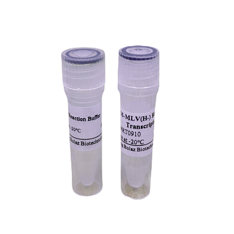 M-MLV(H-) Reverse Transcriptase,南京博雷兹生物科技有限公司