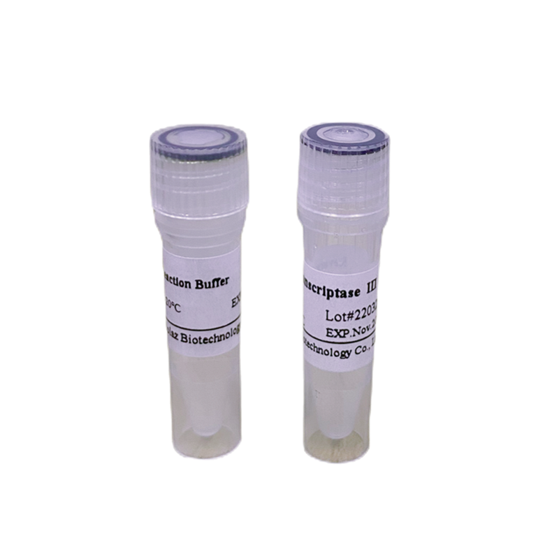 Reverse Transcriptase Ⅲ,南京博雷兹生物科技有限公司